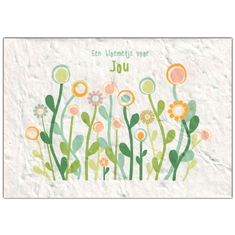 Bloeiwenskaart - Bloemetje Voor Jou Plantbare wenskaart met ...
